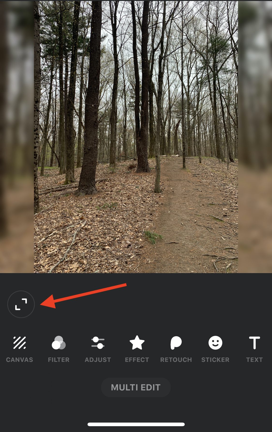 InShot Mobile Video Editing App: An Overview and Review
