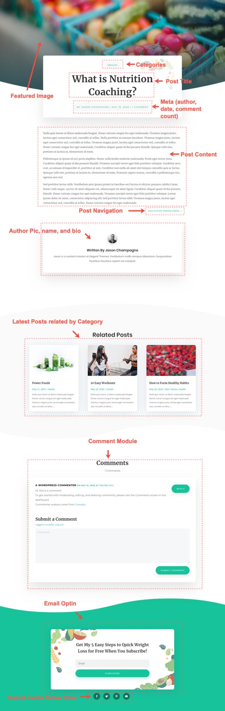 Get a FREE Blog Post Template for Divi's Nutritionist Layout Pack