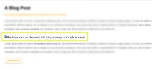 What Is an Alt Tag and How Should You Use It?