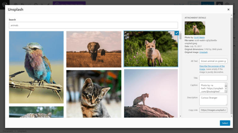 Unsplash WordPress Plugin Overview and Review