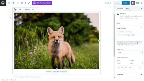 Unsplash WordPress Plugin Overview and Review