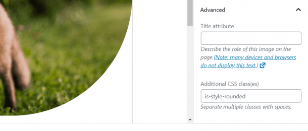 Unsplash WordPress Plugin Overview and Review
