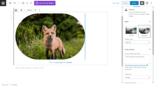 Unsplash WordPress Plugin Overview and Review