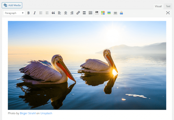 Unsplash WordPress Plugin Overview and Review