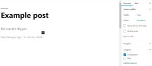 WordPress Pages vs Posts: What's the Difference?