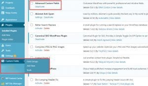 The Essential Guide to WordPress Custom Fields