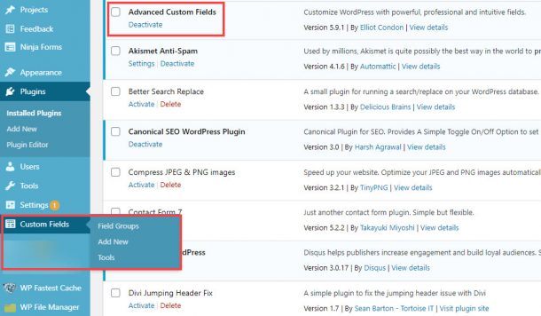 The Essential Guide To Wordpress Custom Fields
