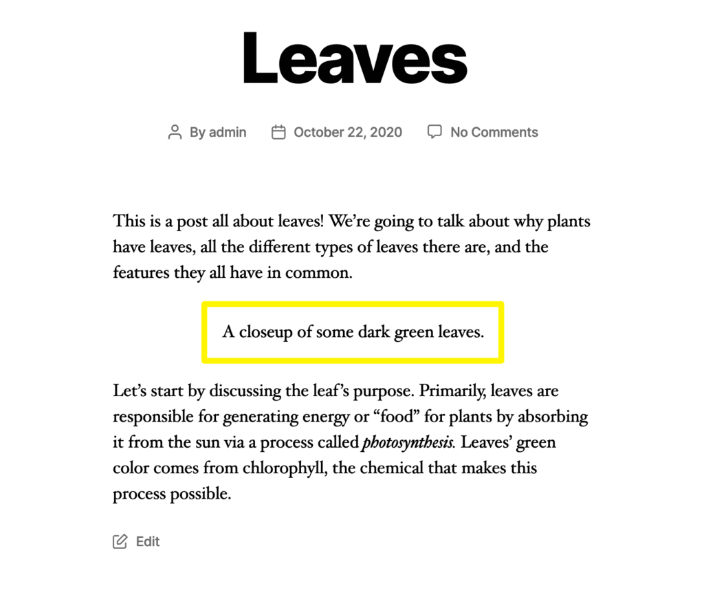 Understanding the Image Title Attribute