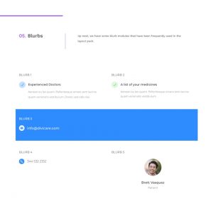 Download a FREE Global Presets Style Guide for Divi's Doctor's Office ...