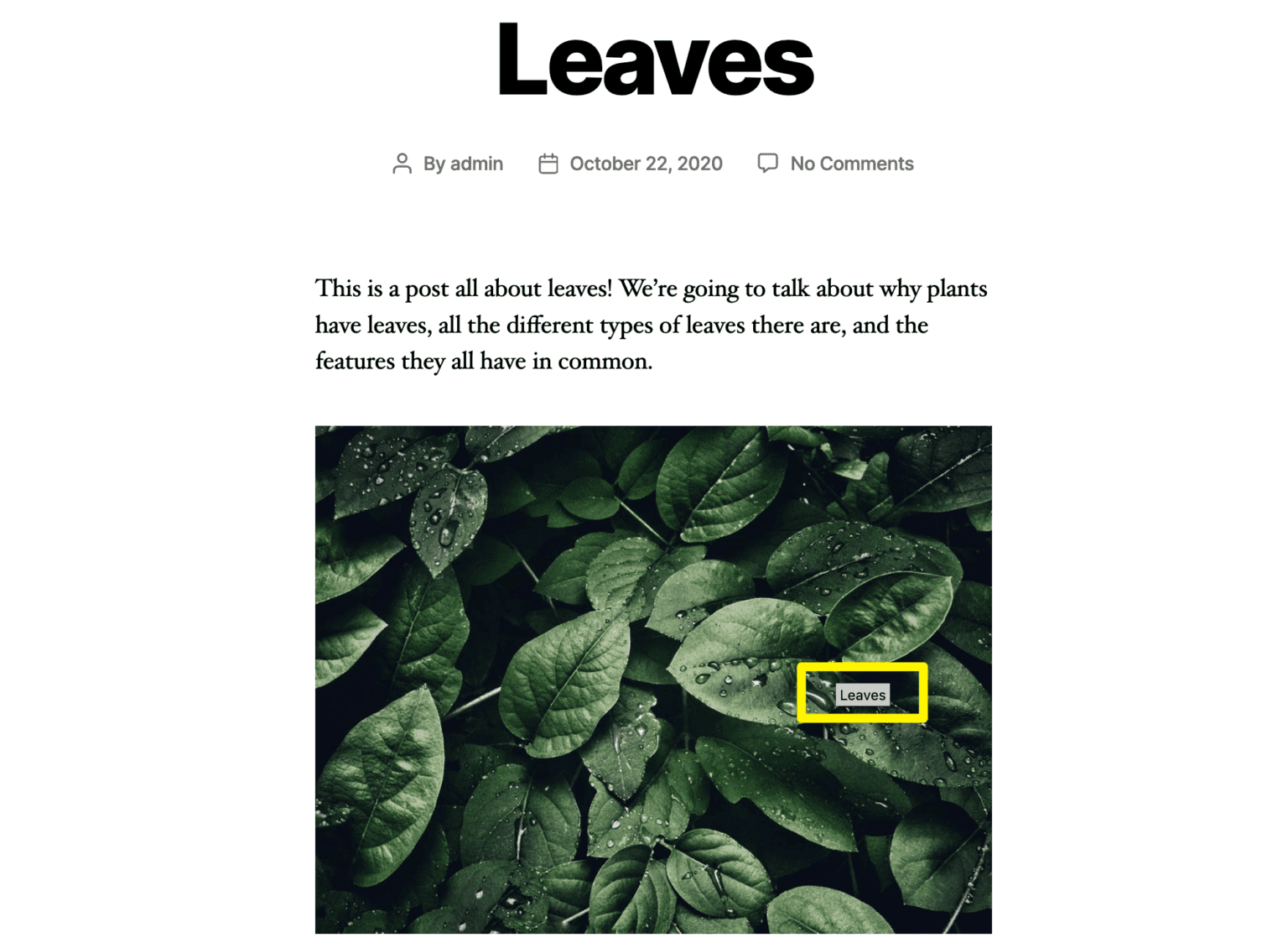 Understanding the Image Title Attribute