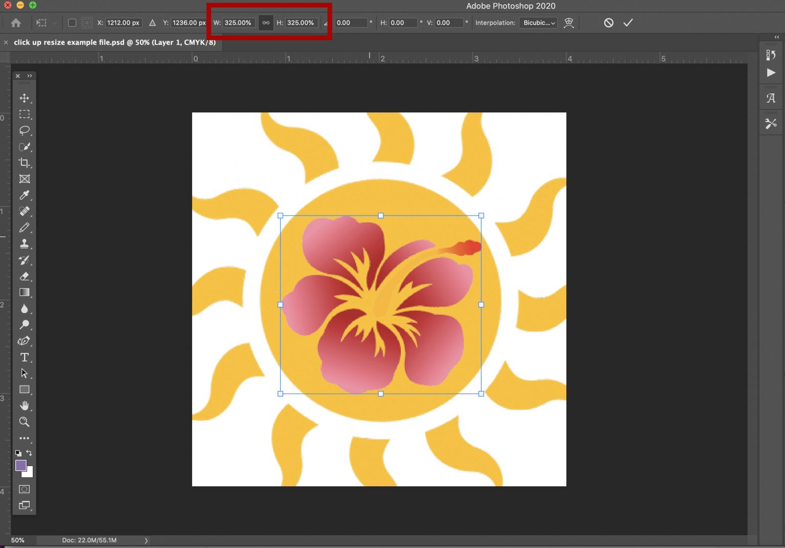How to Scale, Transform, and Resize an Object in Photoshop