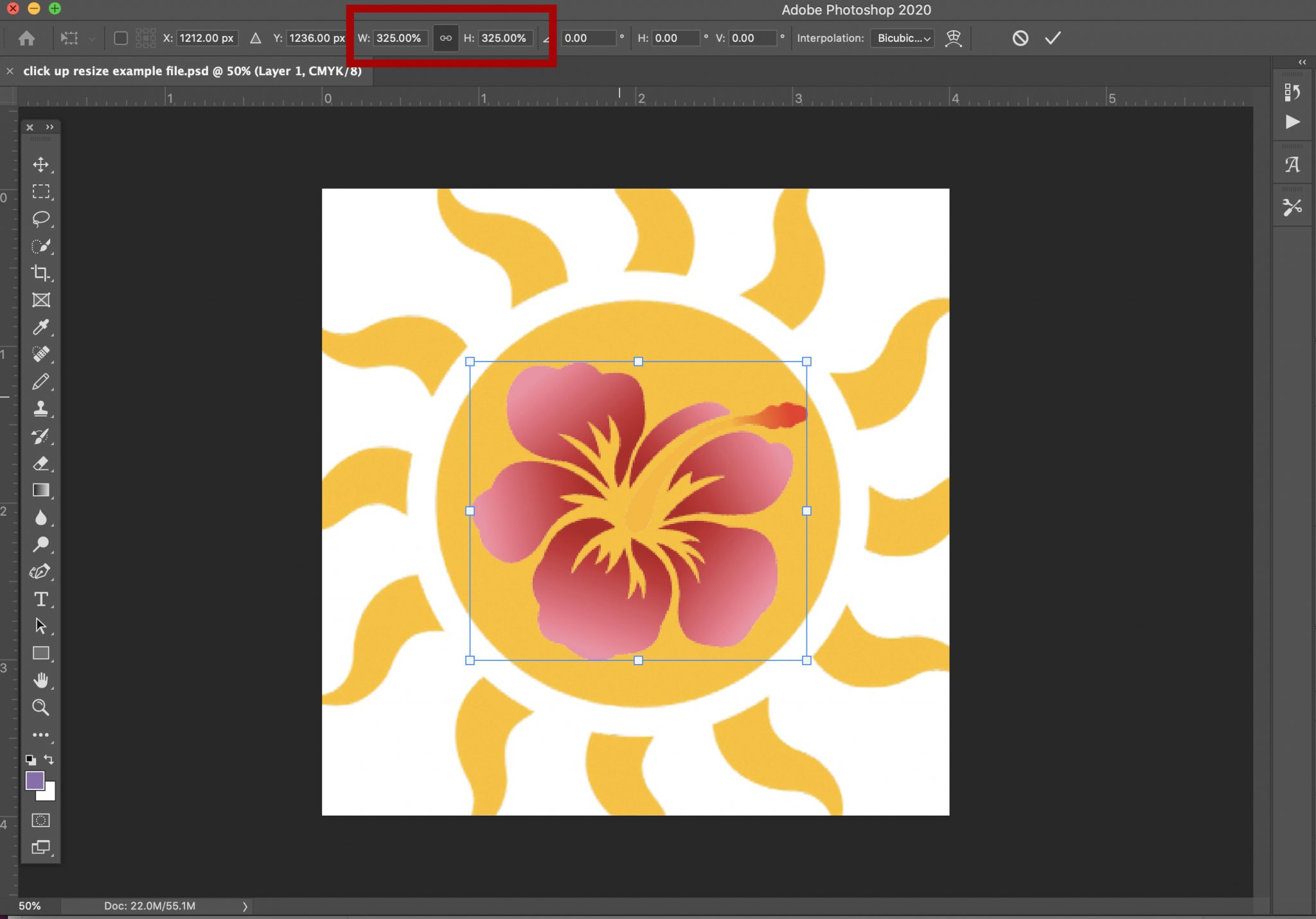 How to Scale, Transform, and Resize an Object in Photoshop