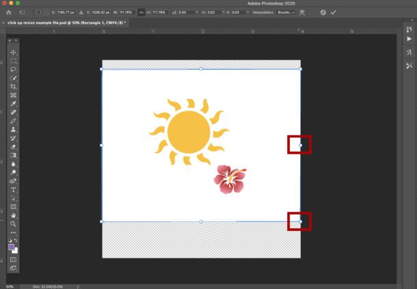 How to Scale, Transform, and Resize an Object in Photoshop