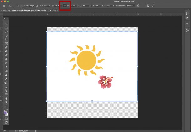 How to Scale, Transform, and Resize an Object in Photoshop