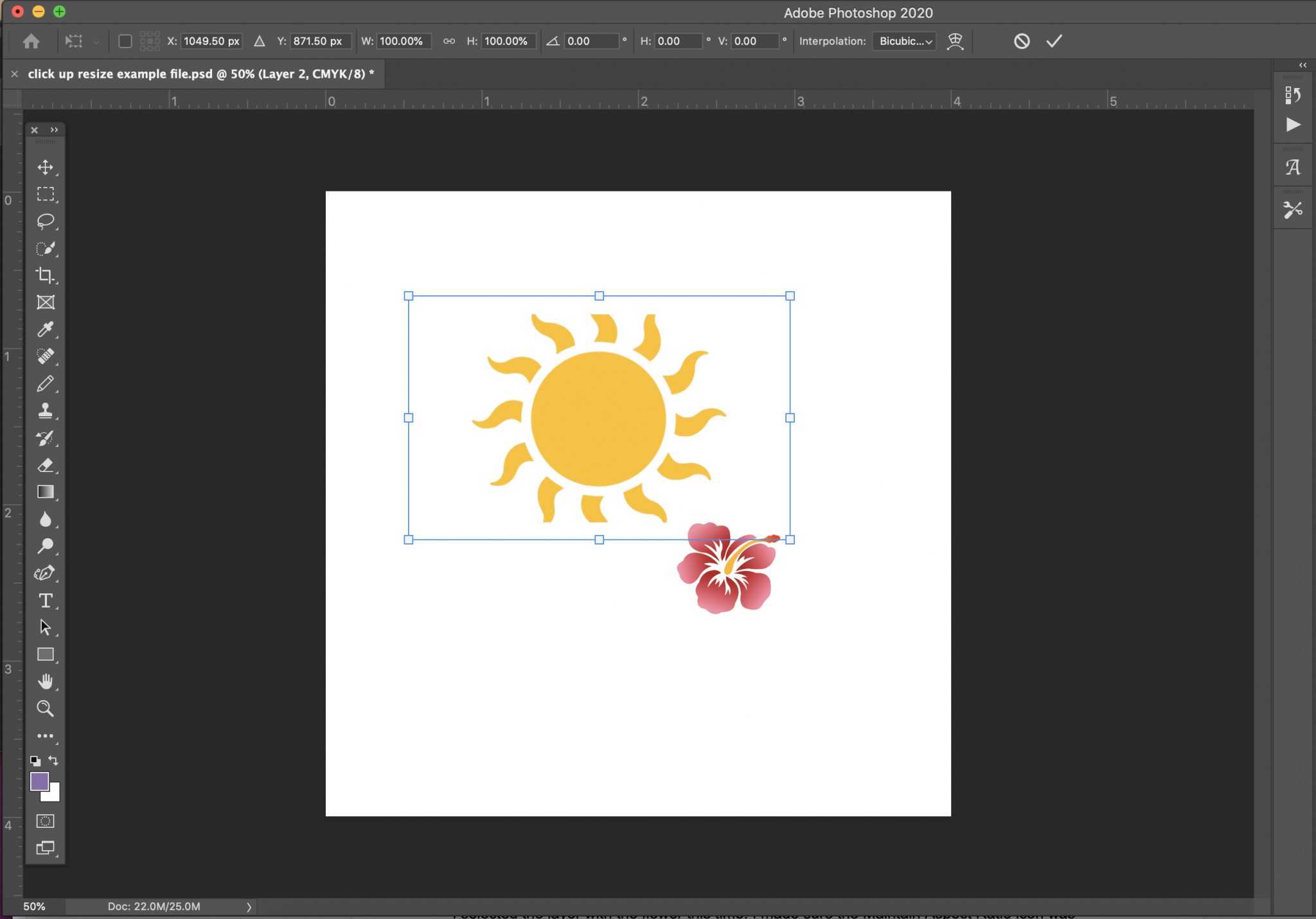 How to Scale, Transform, and Resize an Object in Photoshop