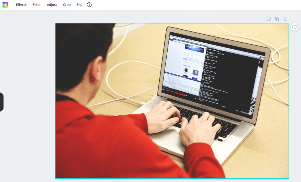 An Introduction to the Canva Photo Editor for Beginners