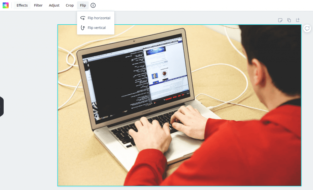 An Introduction to the Canva Photo Editor for Beginners