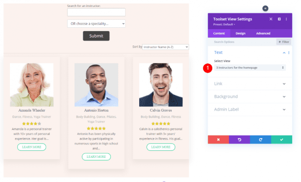 Divi Plugin Highlight: Toolset Divi Integration
