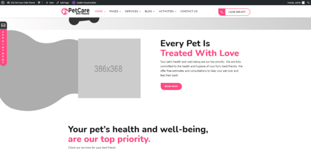 Divi Pet Care Child Theme Overview