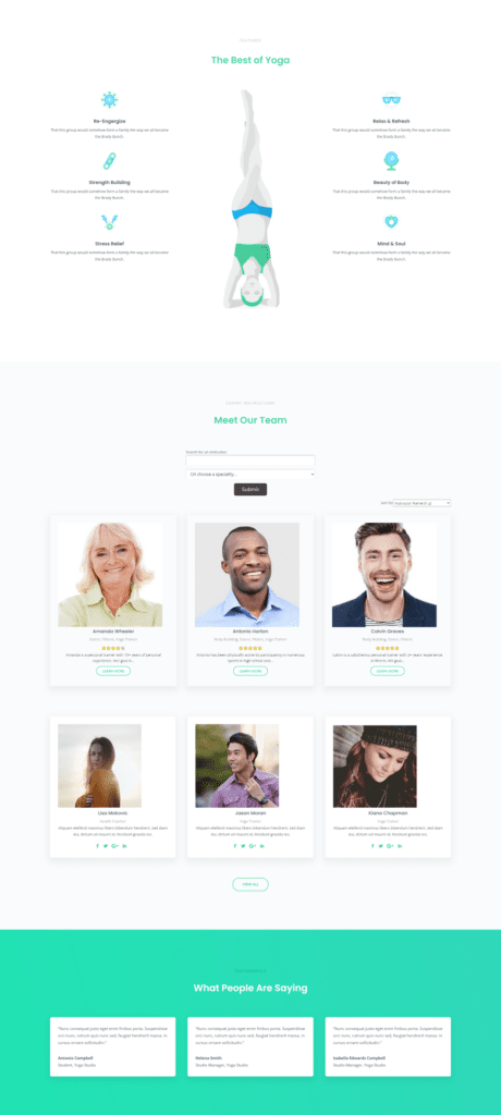 Divi Plugin Highlight Toolset Divi Integration