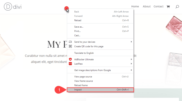 How to Hide Elements with CSS on Your Website