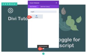 How to Create a Custom Toggle for Video Transcripts in Divi