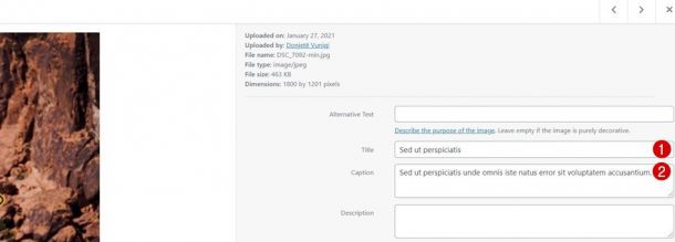 How to Slide-Down Reveal Your Gallery Image's Title & Caption with Divi
