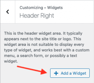 How to Use the WordPress Theme Customizer