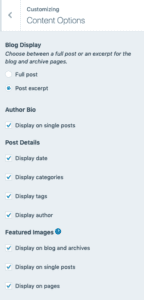 How to Use the WordPress Theme Customizer