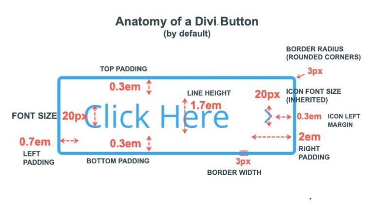 A Complete Guide for Creating Fluid Button Designs in Divi