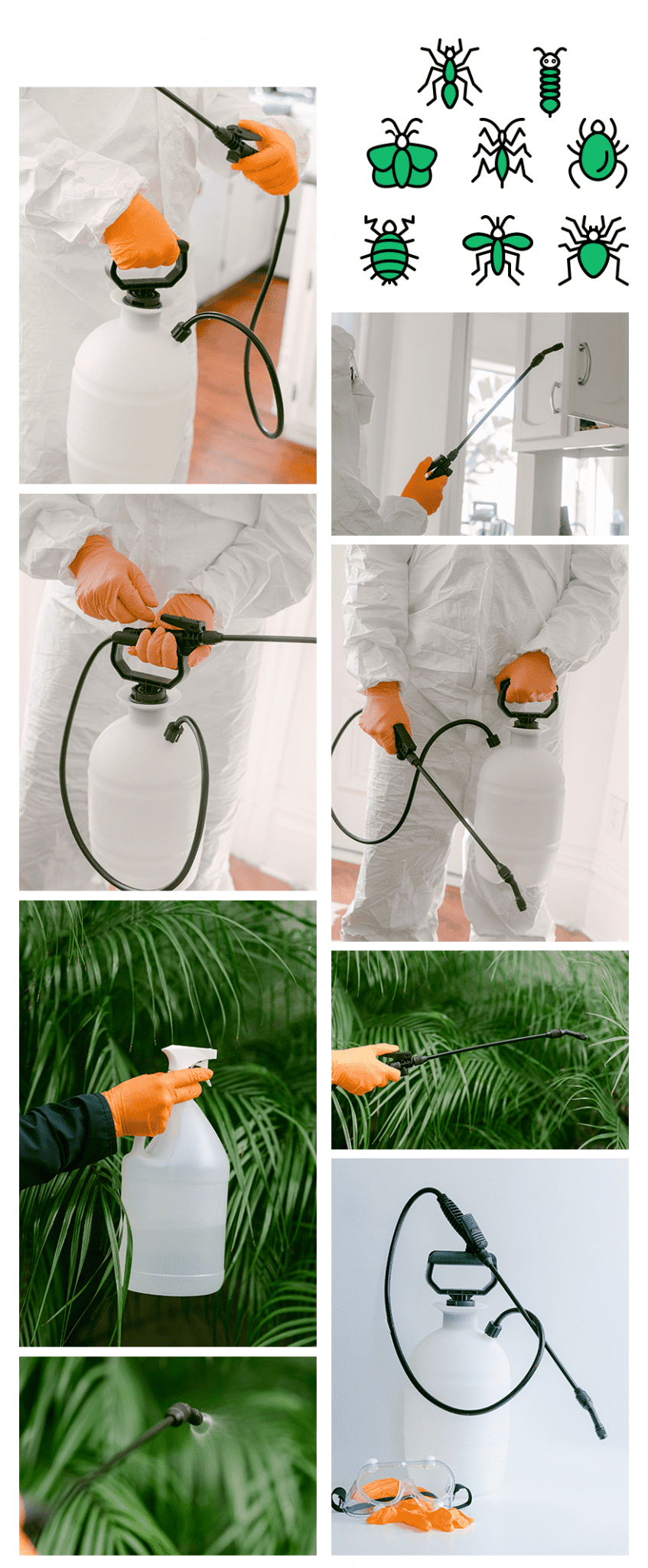 Get a FREE Pest Control Layout Pack for Divi