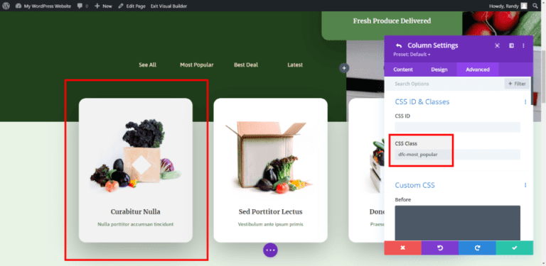 Divi Plugin Highlight: Divi Filter