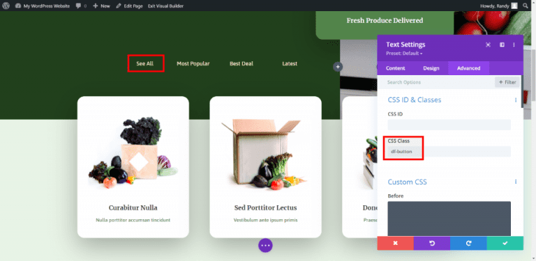 Divi Plugin Highlight: Divi Filter