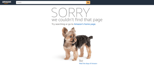 How to Create a Custom WordPress 404 Error Page