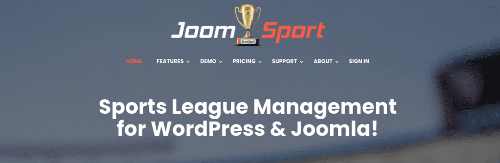 6 Best WordPress Sports Plugins