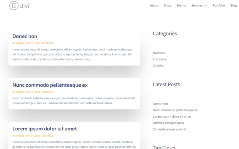 How to Remove the Divi Sidebar Border