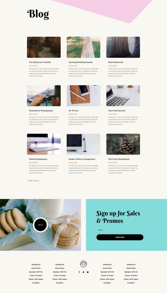 Get a FREE Homemade Cookies Layout Pack for Divi