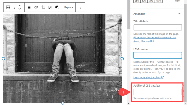 How to Resize Blocks in WordPress