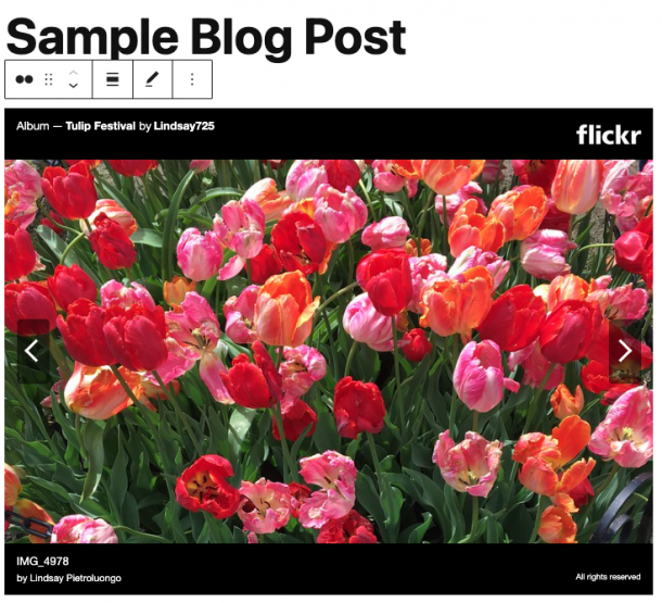 How to Use the WordPress Flickr Embed Block