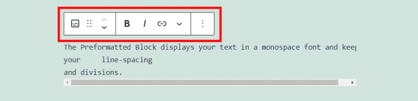 How to Use the WordPress Preformatted Block