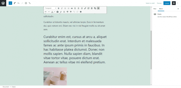 How to Use the WordPress Classic Block