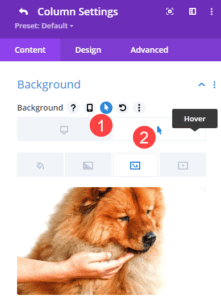 How to Change an Image on Hover with Divi