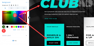 How to Apply Color Palettes to Your Divi Website