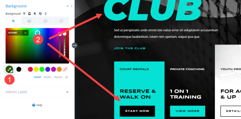 How to Apply Color Palettes to Your Divi Website