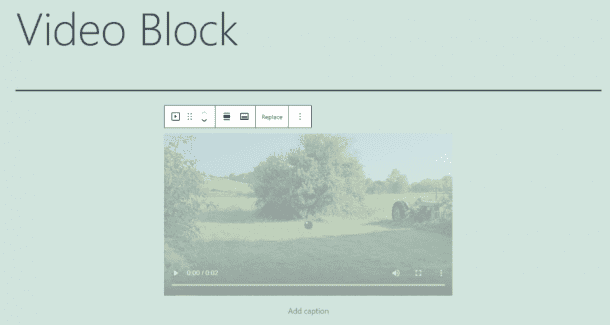 How to Use the WordPress Video Block