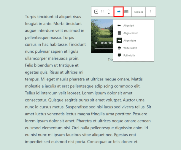 How to Use the WordPress Video Block