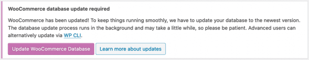 Updating Woocommerce Best Practices To Follow Every Time