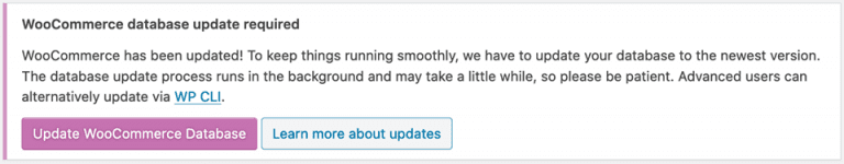 Updating Woocommerce Best Practices To Follow Every Time