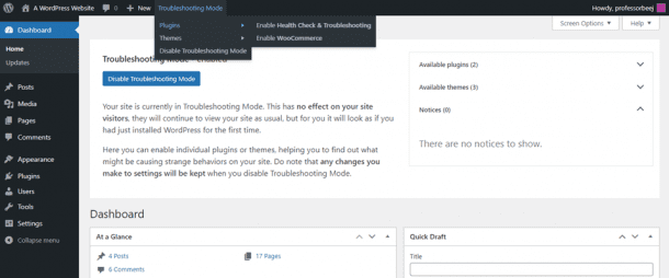 12 Best WordPress Plugins for Developers