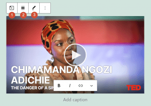 How to Use the WordPress TED Embed Block